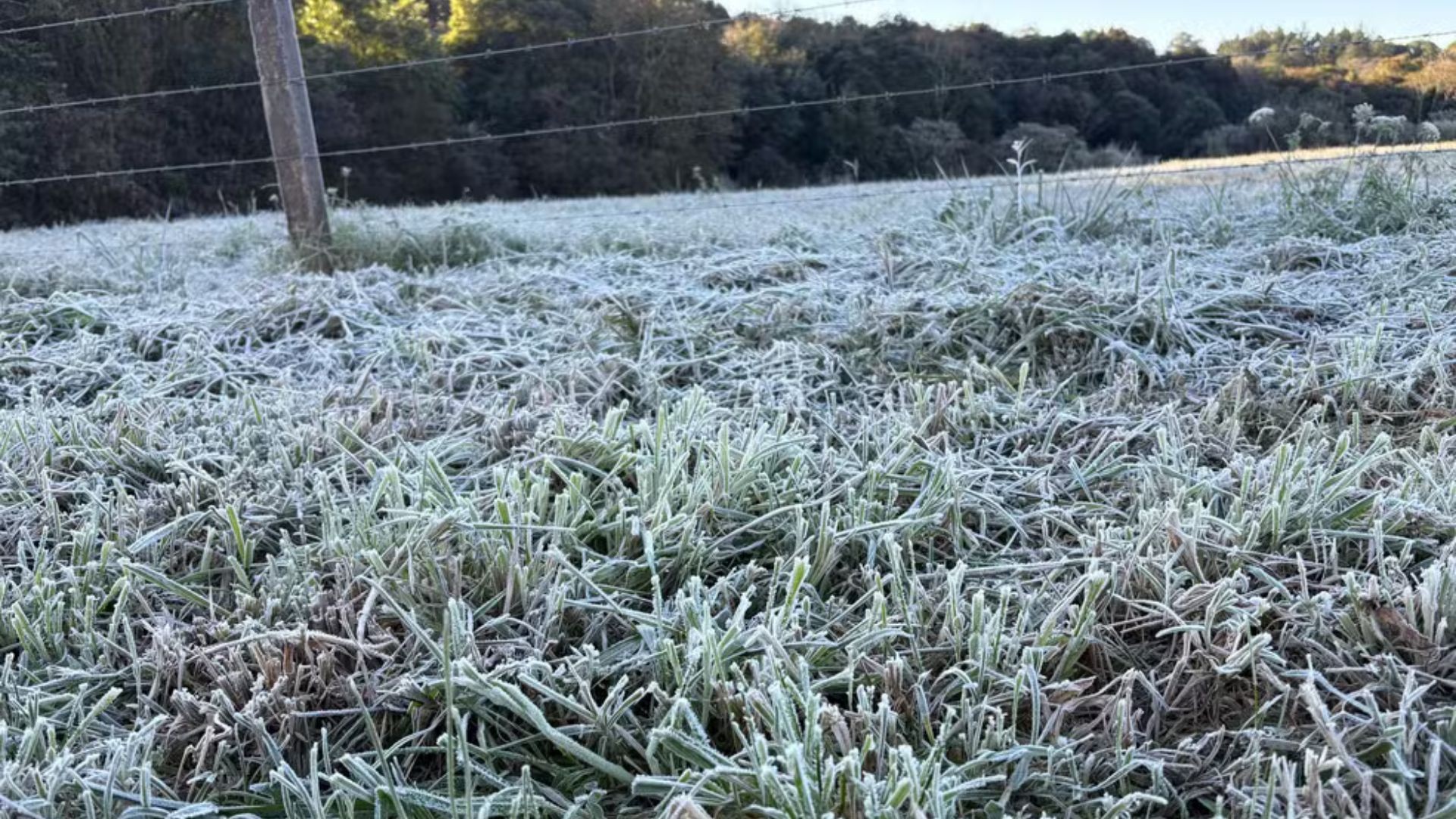 Rio Grande do Sul: Primeira Onda de Frio Intenso de 2026 Traz Geada e ...